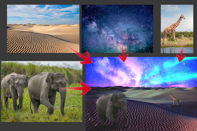 Photoshop editing or photo manipulation professionaly by Srsayeed | Fiverr