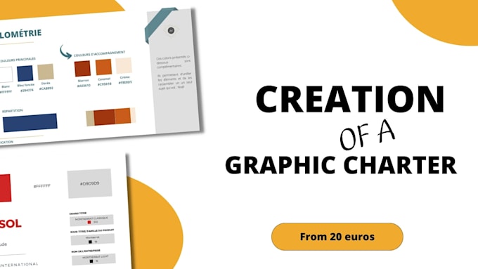 Make you a graphic charter that exactly matches your needs by ...