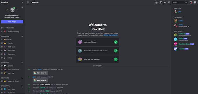 Make a proffesional discord server for your community by Elijahcrisp ...