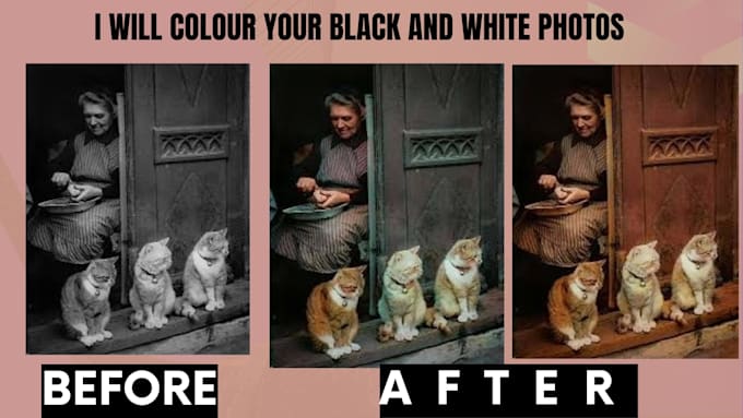 Turn black and white photos into colored photos in 24 hours by ...