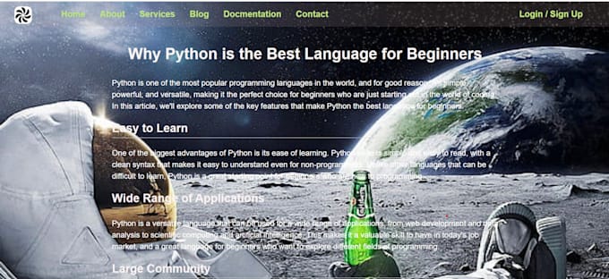 Make a frontend website using html, css , javascript by Shahmeerali007 | Fiverr