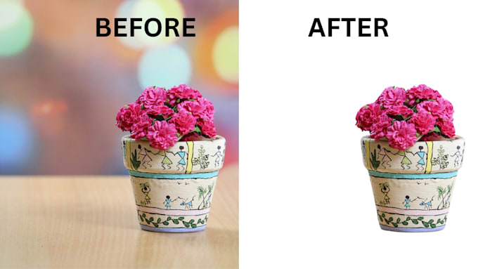 Do professional bg removal and cut out your images or remove bg by ...