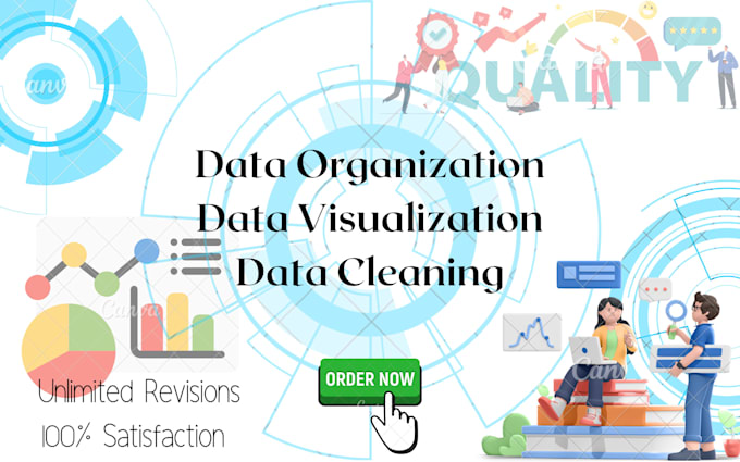 Do data cleaning data organization data visualization by Amrutapatole | Fiverr