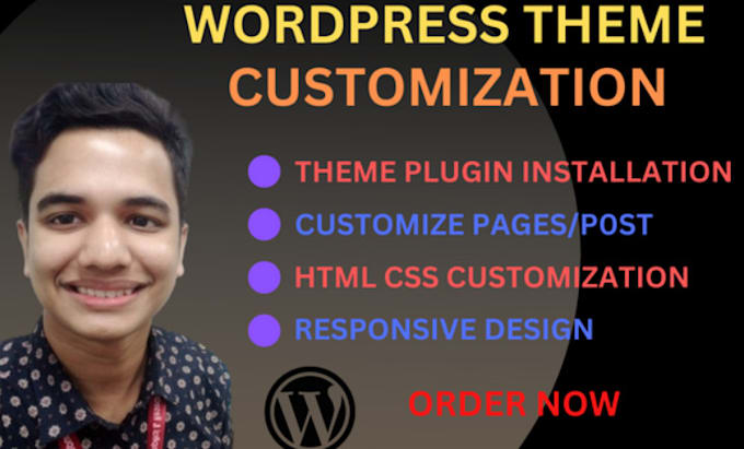 Do Wordpress Theme Customization Plugin Installation Professionally By