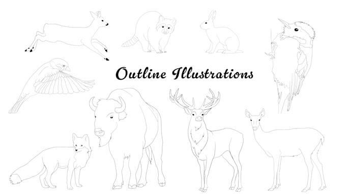 Create realistic line art illustration by Malenawaldorf | Fiverr