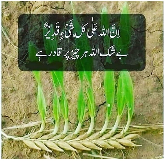 Do translation and writing in any language you ask and in your given ...