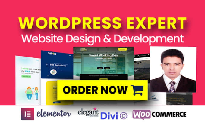 Do business website development, design, redesign wordpress website by ...