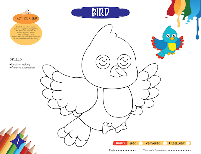 Do illustrations, vector tracing by Bhadradathang | Fiverr