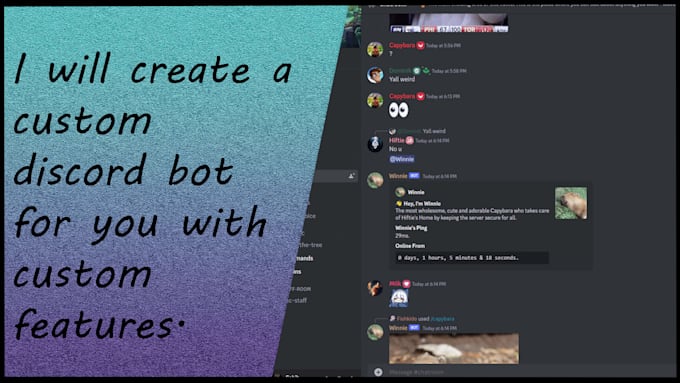 Create a custom discord bot for your server by Blackysh | Fiverr