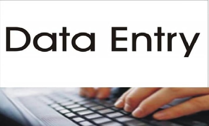 Data enter i am really expert in data entry by Komalsaeed123 | Fiverr