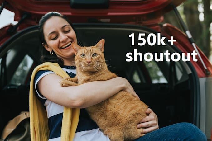 Do an shoutout on my 150k cat instagram page by Richaarren | Fiverr