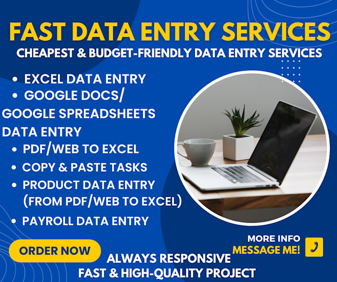 Do fast excel data entry, google docs, sheets, pdf to excel, copy paste tasks by Knuevaaa | Fiverr