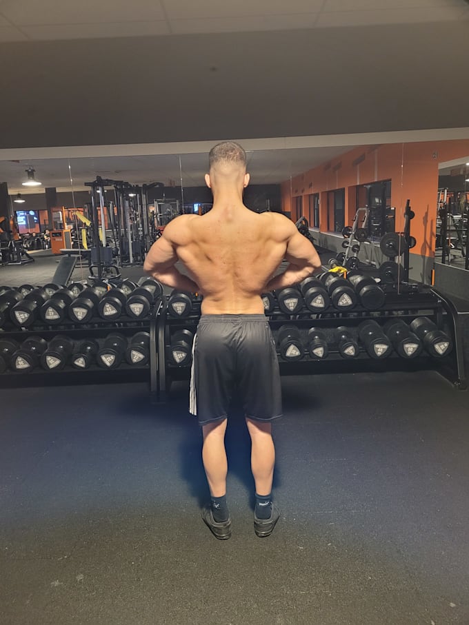 Make your individual workout plan and more by Dnice6570 | Fiverr