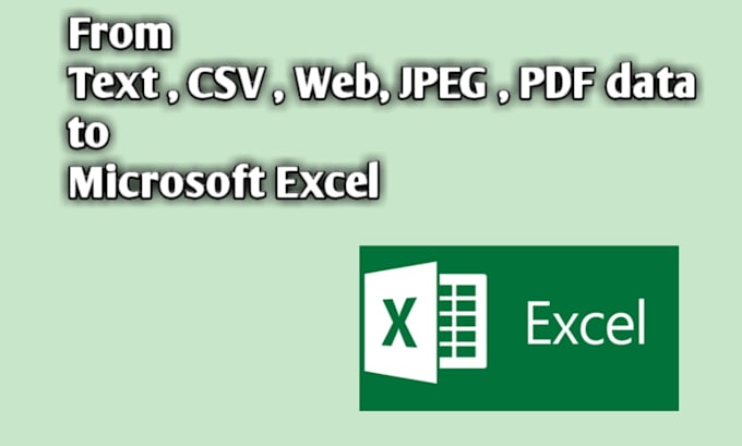 Do text,csv, jpeg,pdf and web data into excel by Mishri17 | Fiverr