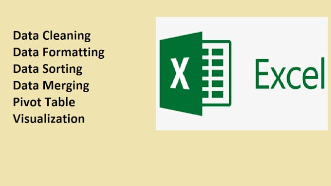 Do data cleaning sorting formatting excel by Yusraabdulazeem | Fiverr
