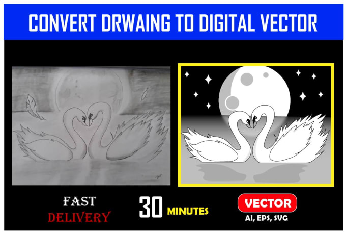 Turn your hand drawing to vector, drawing to digital art, digitize ...