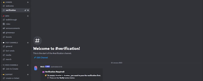 Make you a professional looking discord by Discordshadow1 | Fiverr