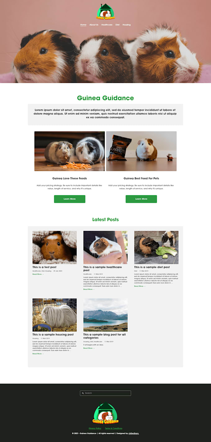 Build a professional website for small businesses by Giannos17 | Fiverr