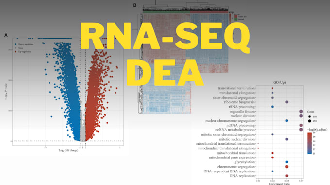 Analyze rna seq data, differential expression analysis by Rafatafahmy ... Analyze rna seq data, differential expression analysis by Rafatafahmy ...