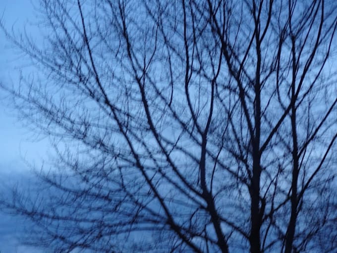 Create you a random landscape photo by Mathildephoto | Fiverr