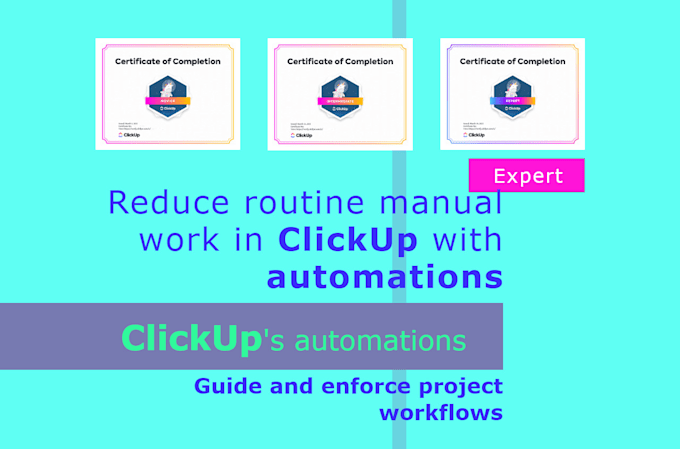 Make a prototype of clickup workflow automations by Dmitrii_salespm ...
