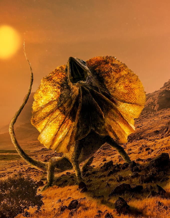 Composition with your portrait with the addition of many effects, photo ...