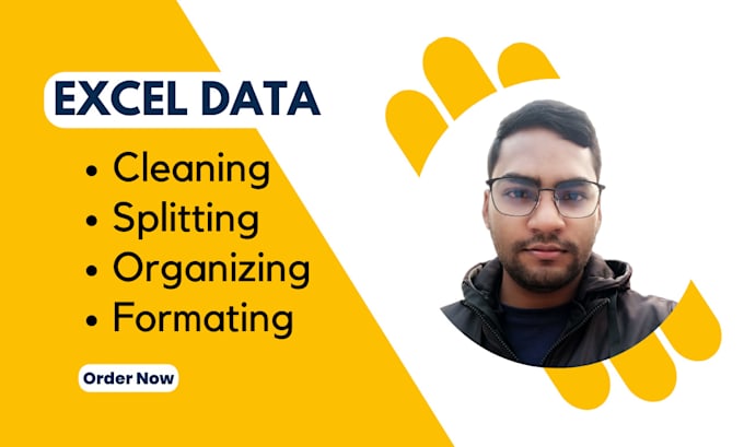 Provide expert cleaning, organizing, and formatting for your excel and ...