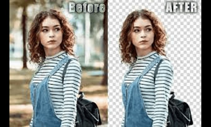 Add or remove person, objects, change background using pc software by ...