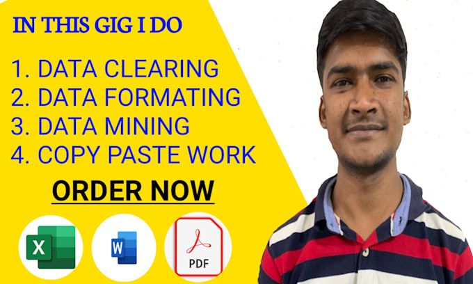 Do data entry in microsoft excel by Toshishchetty | Fiverr