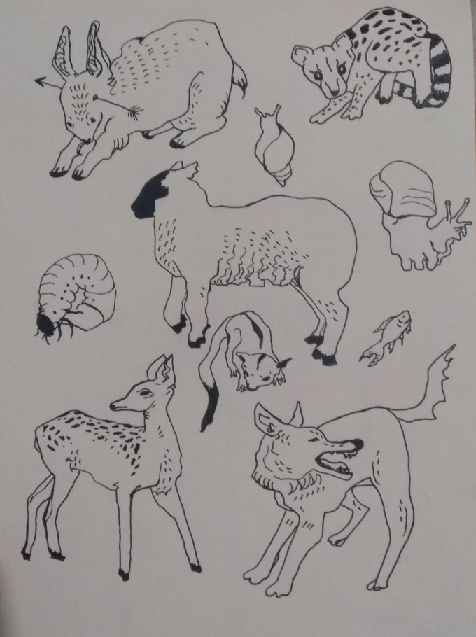 Draw an unusual tattoo sketch of an animal for you by Lumin_escence ...