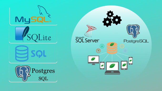 Create Postgresql My Sql Databse Schema Design Complex Query By Ciitqaisar Fiverr