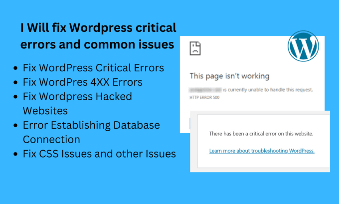 Fix critical errors and common issues of your website by Mohsinisonline | Fiverr