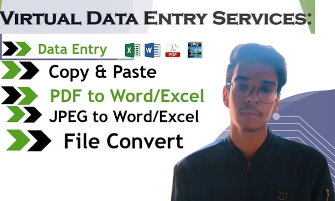 Excel data entry,virtual assistant and copy paste for your web entry by ...