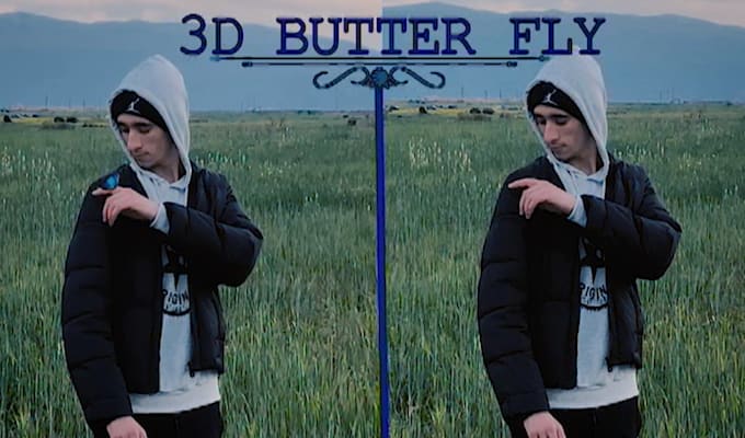 Edit any video vfx and 3d,or move the butterfly as you like by Limbo_01 | Fiverr