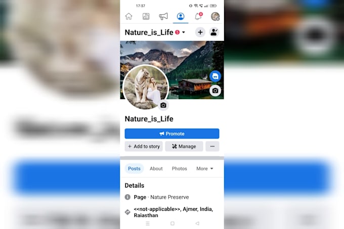 Create professional facebook business pages in 24 hours and manage them ...