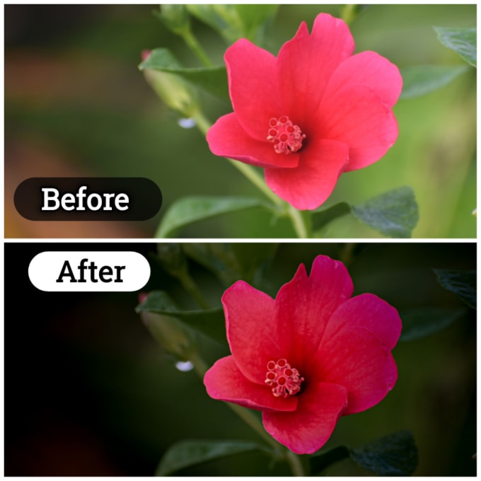 Edit, retouch and color grade your photos by Theneerajraj | Fiverr