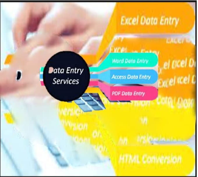 Organize the data, analyze the data and do the visualization by Jathunanthan | Fiverr