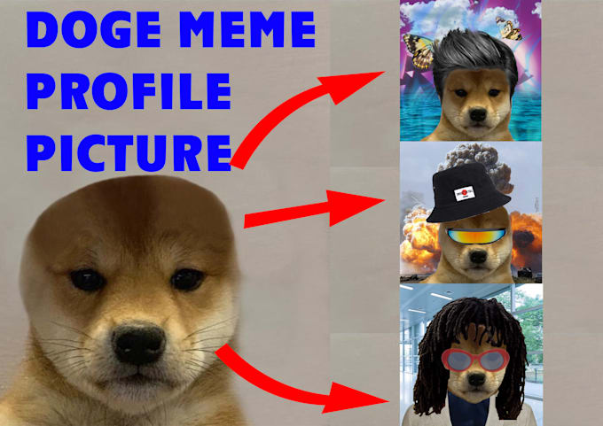 Make a crazy cool funny doge meme profile picture by Nielswitteveen ...