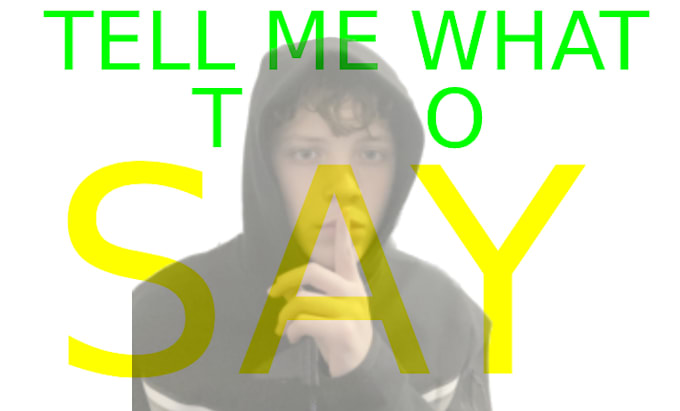 Say or do anything you ask of me by Charrue555 | Fiverr