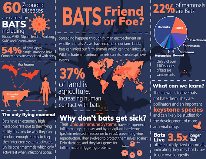 Create a stunning and informative infographic by Vlink707 | Fiverr
