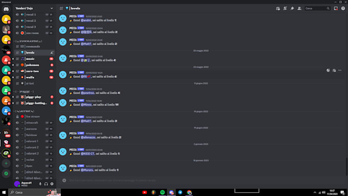 Create professional discord servers by Matteeofiorii | Fiverr