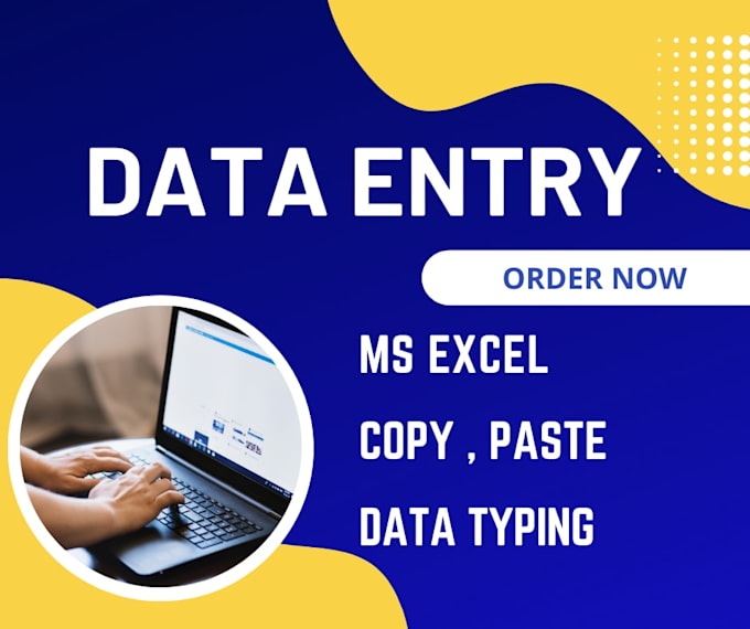 Do perfect excel data entry, copy paste, typing, data entry with ...