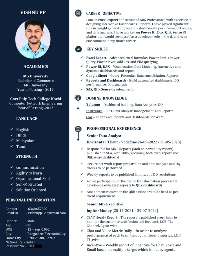 Build beautiful cv instantly by Vishnu_pp_1992 | Fiverr Build beautiful cv instantly by Vishnu_pp_1992 | Fiverr