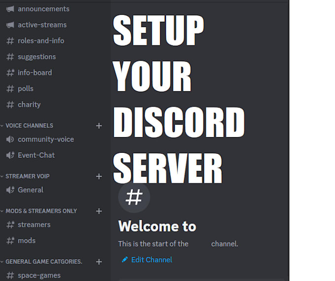 Set up your discord server by Deathtech | Fiverr