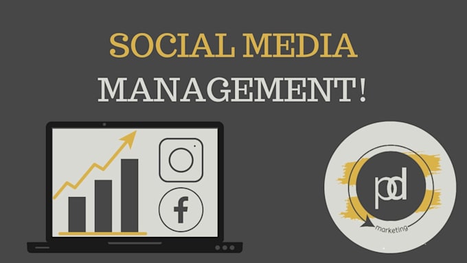 Take your social media to the next level with expert marketing strategies by Passherdigital | Fiverr