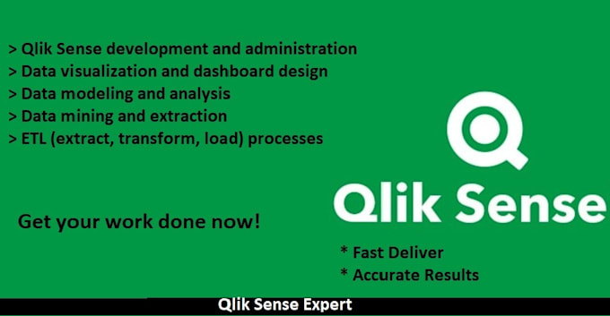 Provide qlik sense developer and data analyst services by Aamna123 | Fiverr