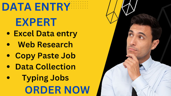Do data entry web research data collection copy paste and excel data entry by Dataentry0111 | Fiverr
