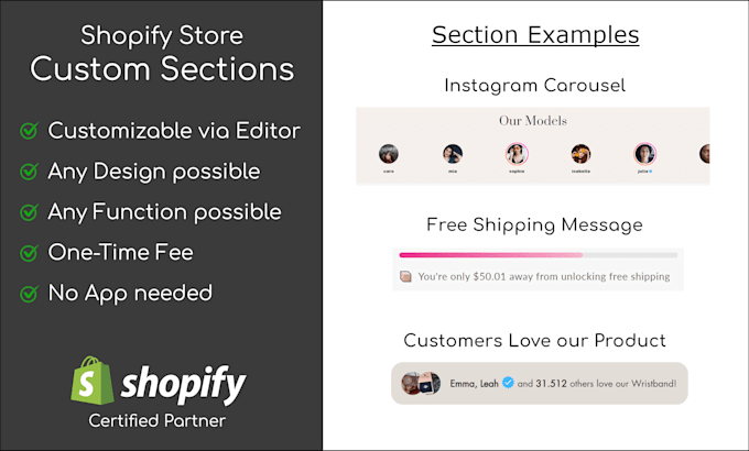 Create a custom section in shopify for you, no apps by Stefaneggerdev | Fiverr