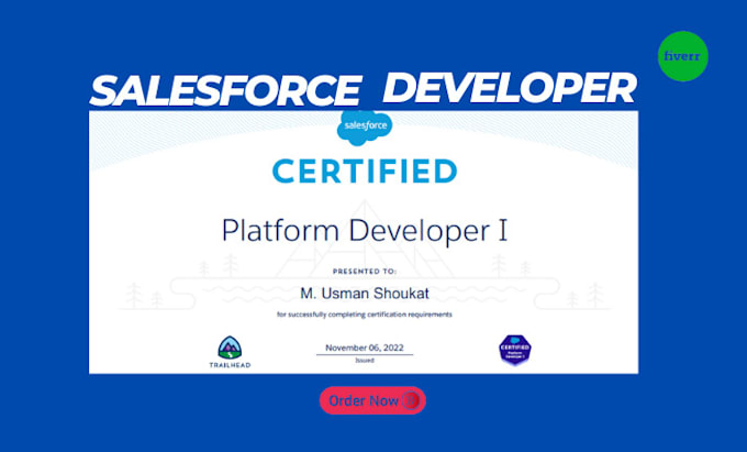 Be Your Salesforce Developer For Any Customization By Usmansfdc Fiverr