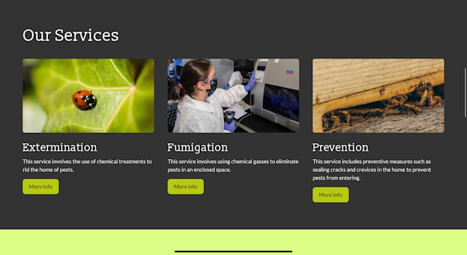 Transform your ideas into beauty as a master craftsman of web design by ...